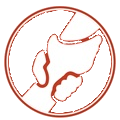 Alpha R Private Limited